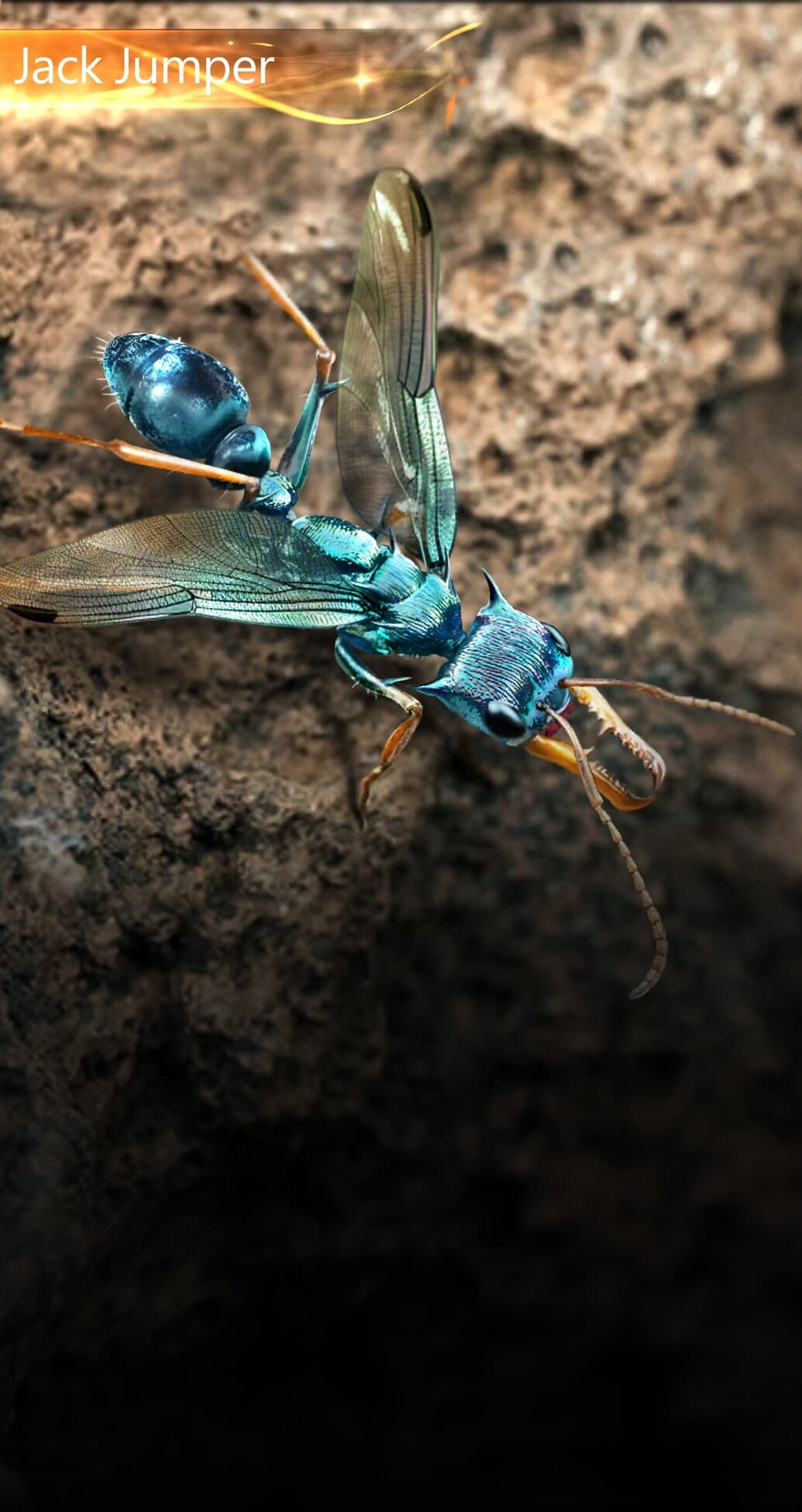 Special Ants Information - Special Ants - The Ants: Underground Kingdom