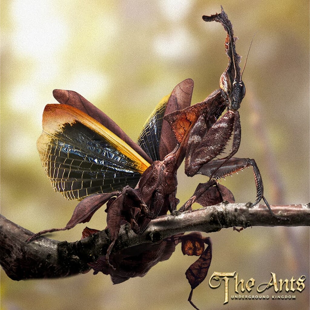 The wallpaper of Ghost Mantis is finally here (April 02, 2025) - Events - The Ants: Underground ...