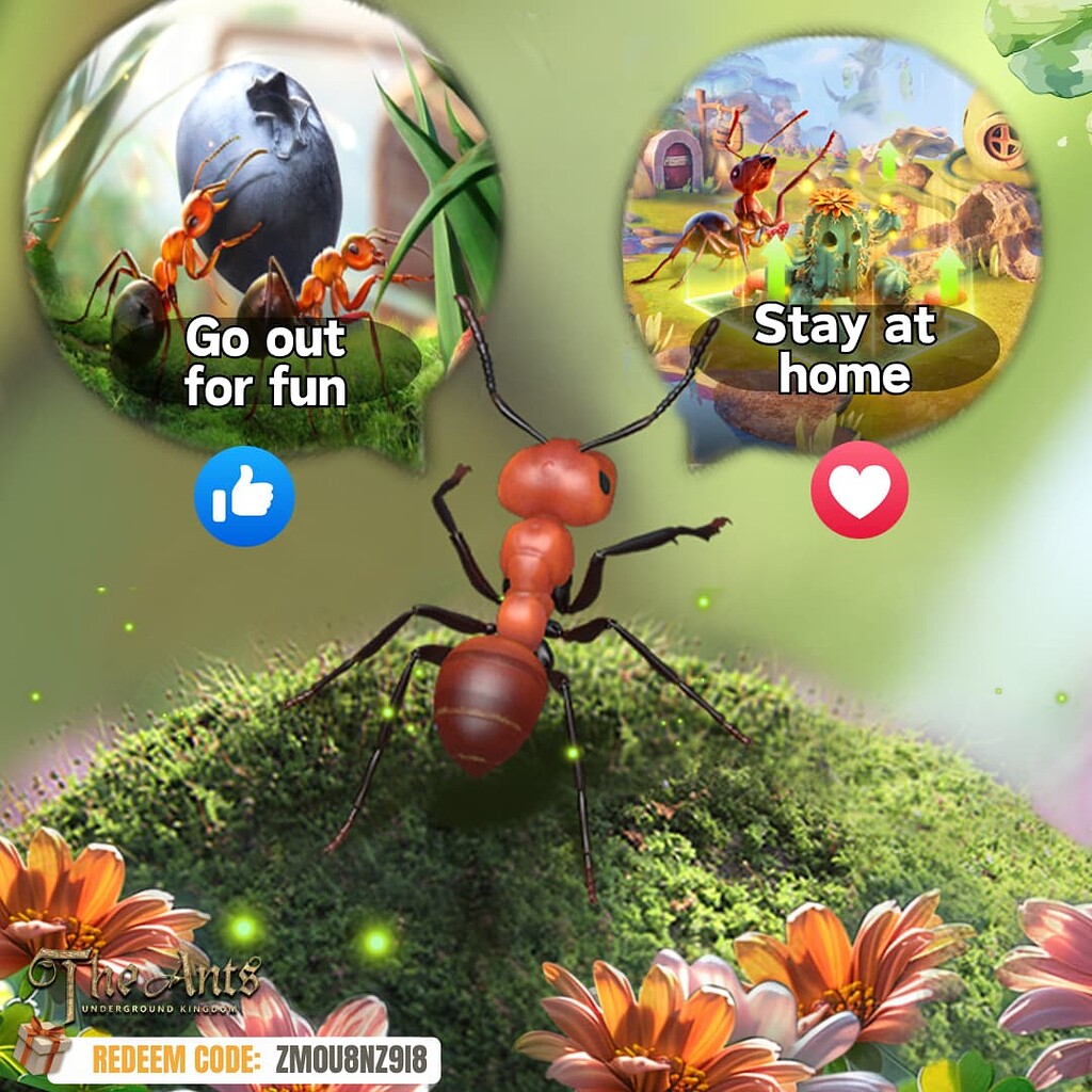 Do you choose to go out for fun or stay at home during the holidays? (May 2, 2024) - Events ...