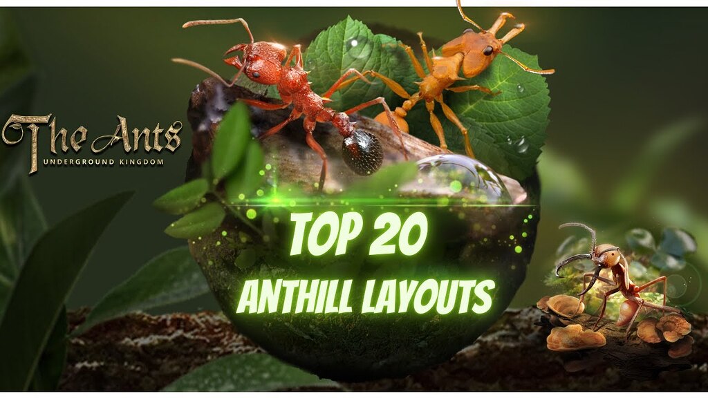 How the TOP 20 Anthill Will Look Like? - General Game Discussion - The ...