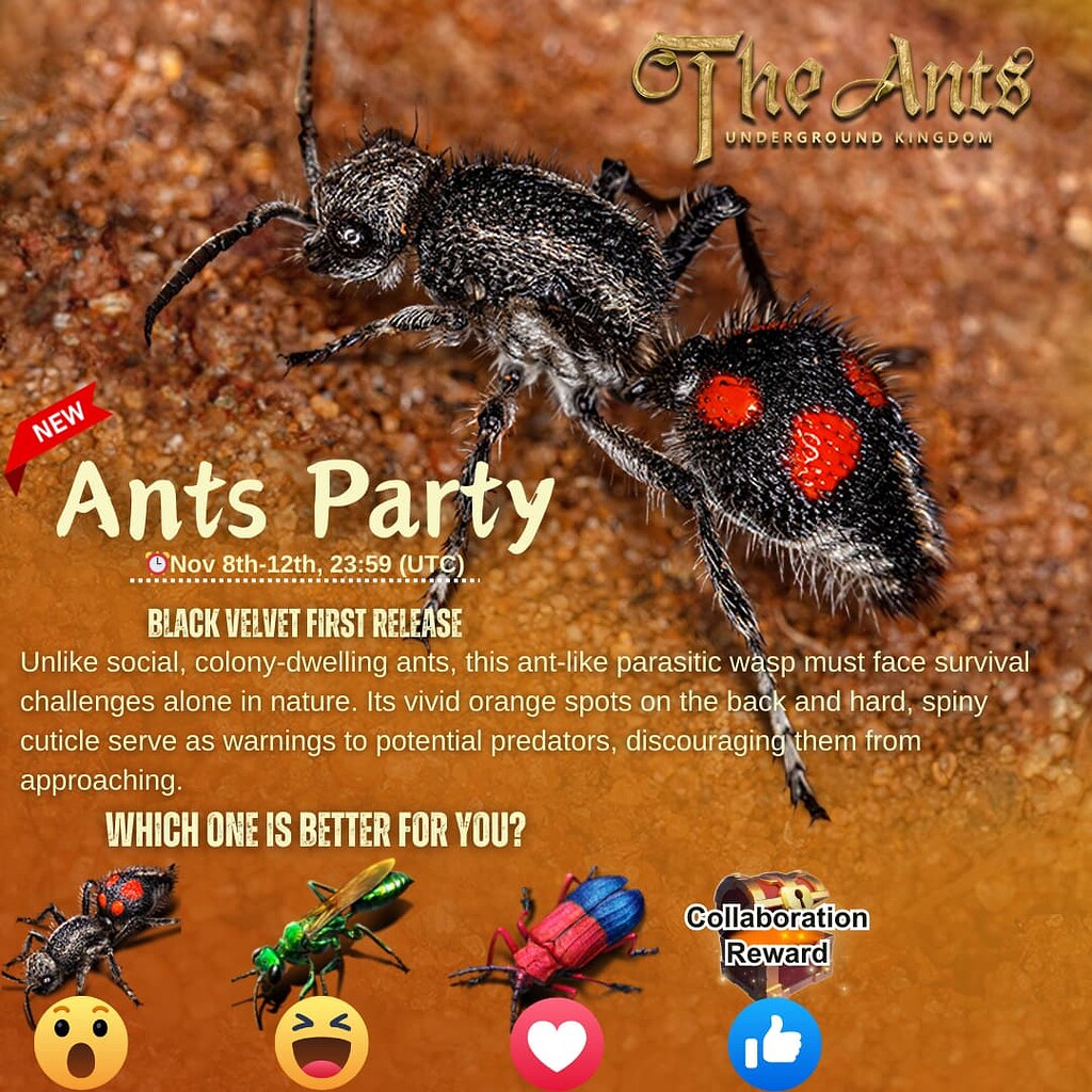 The Ants Party is coming (November 8, 2024) - Events - The Ants ...
