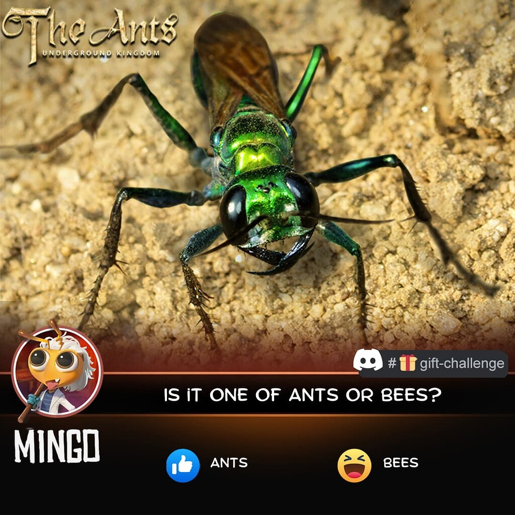Is it one of Ants or Bees? (December 9, 2024) - Events - The Ants ...