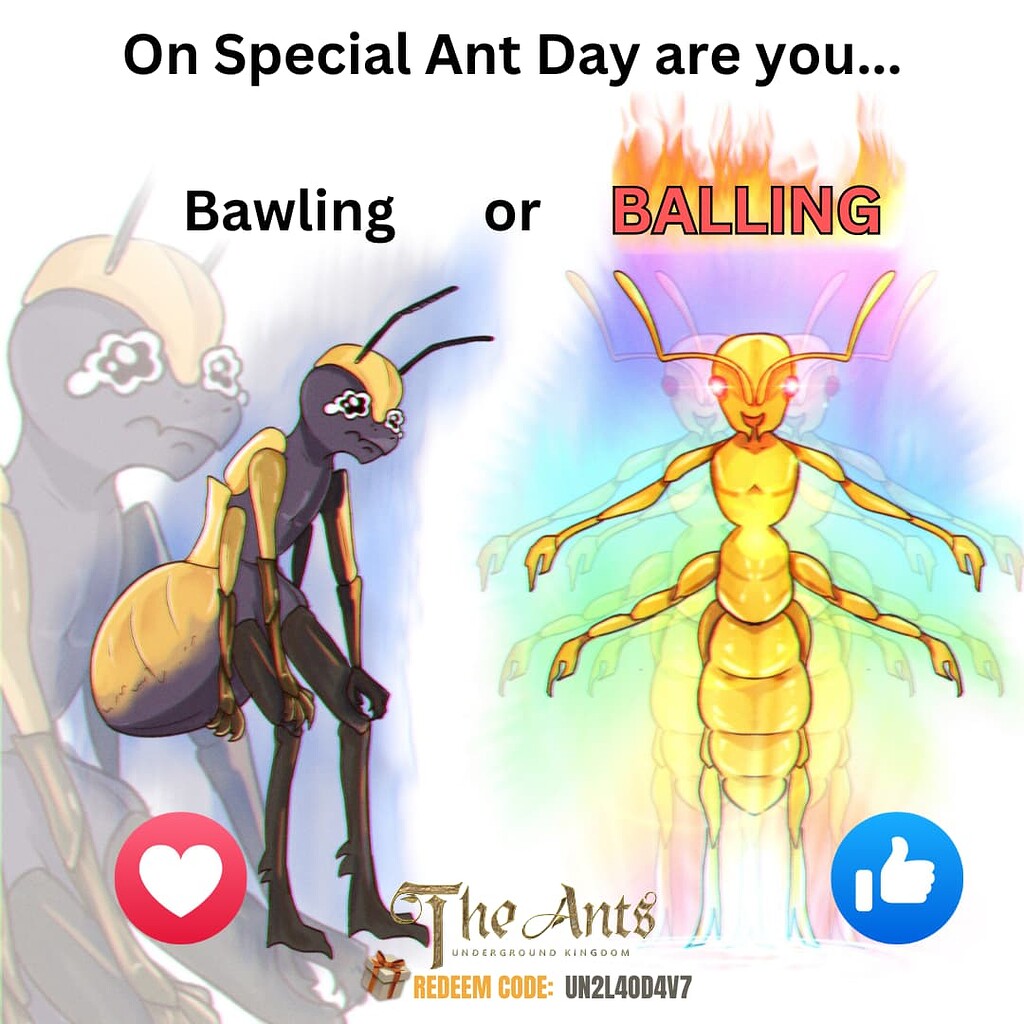 The Community Event of The Ants (February 14, 2024) - Events - The Ants ...