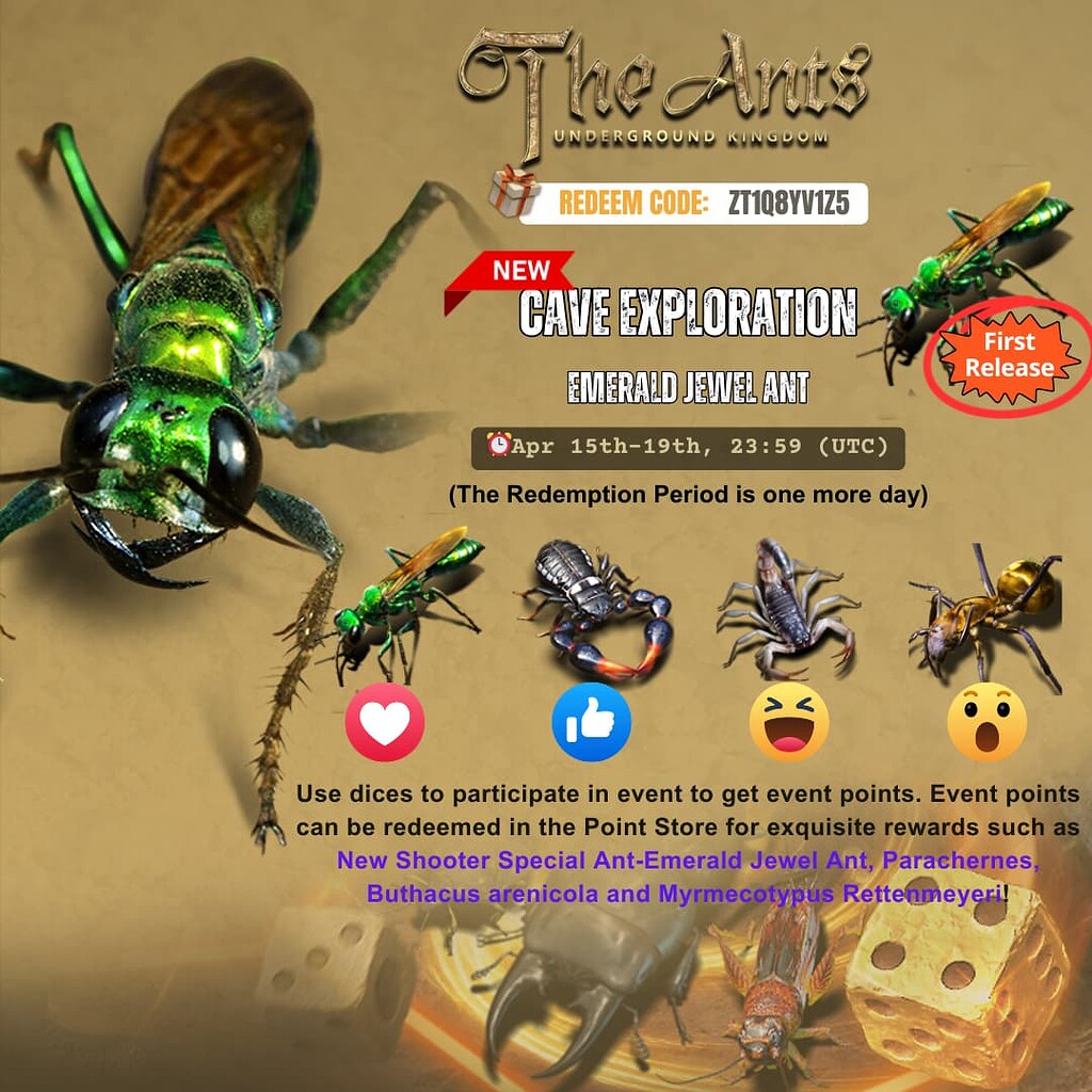 New Special Ant discovered in Cave Exploration! (April 15, 2024 ...